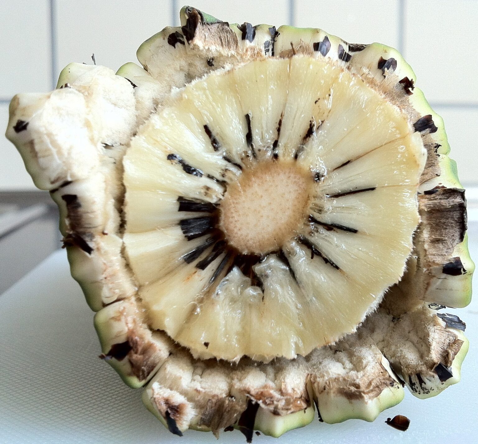 ☀️ Was ist eine Ananasbanane? (Monstera Frucht)