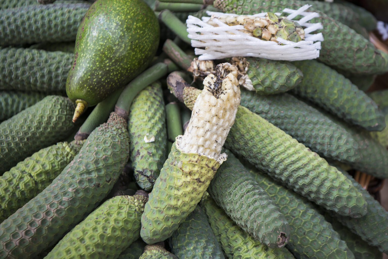 ☀️ Was ist eine Ananasbanane? (Monstera Frucht)