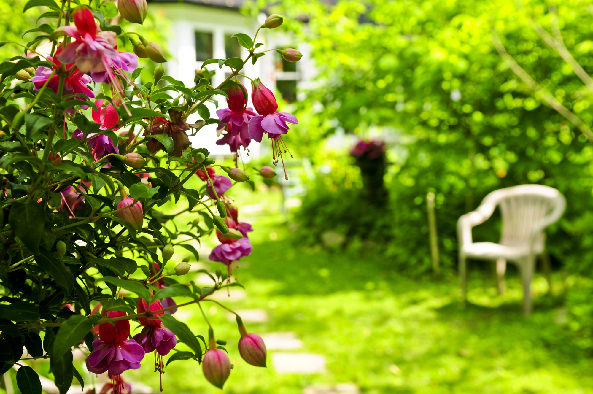Die Kunst der Ruhe ☀️ Garten ein Ort der Entspannung